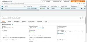 Automate EC2 AMI Using SSM Document Automation and EventBridge – QloudX